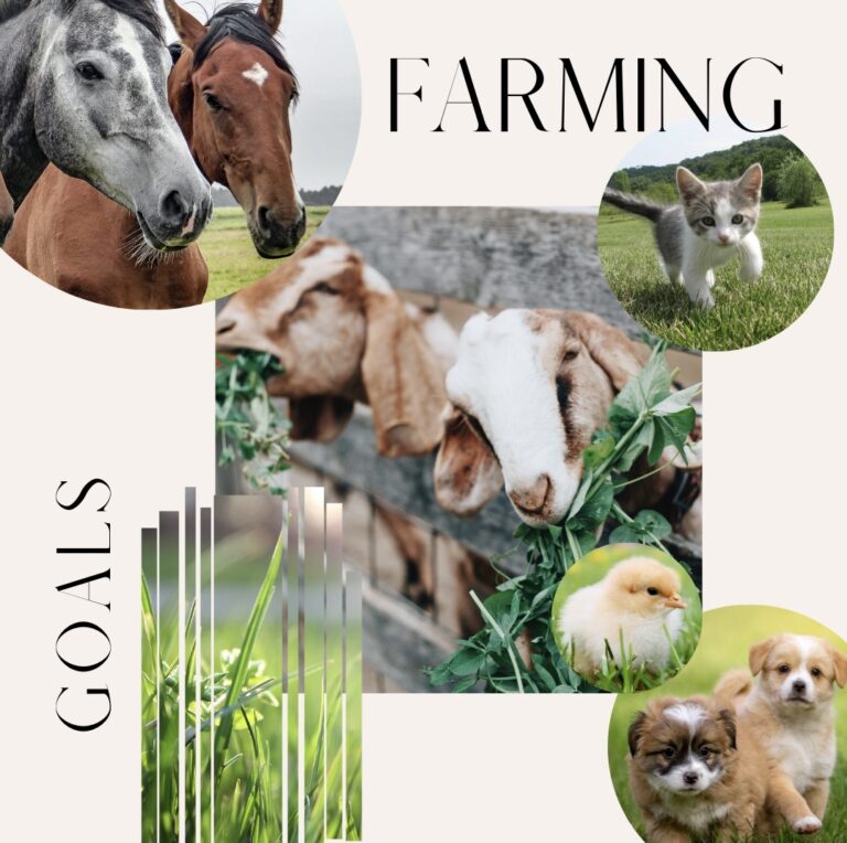 Creative Ideas For A Vision Board - Navigating This Space