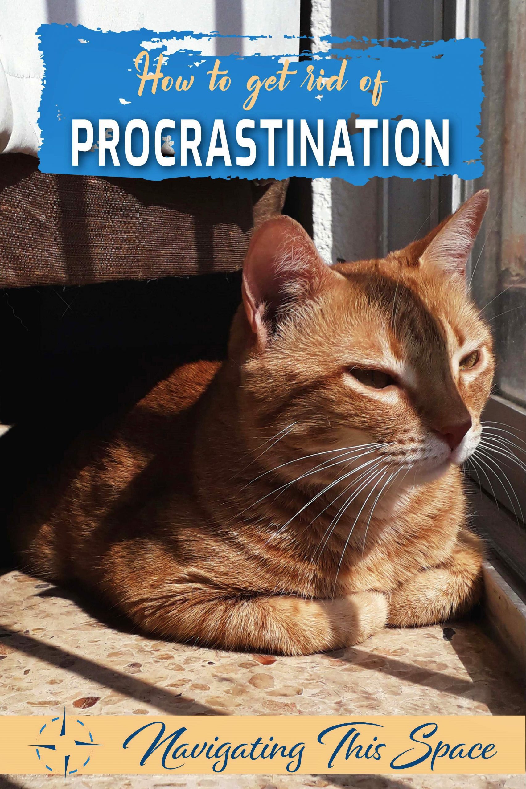 Tackling Procrastination - Navigating This Space