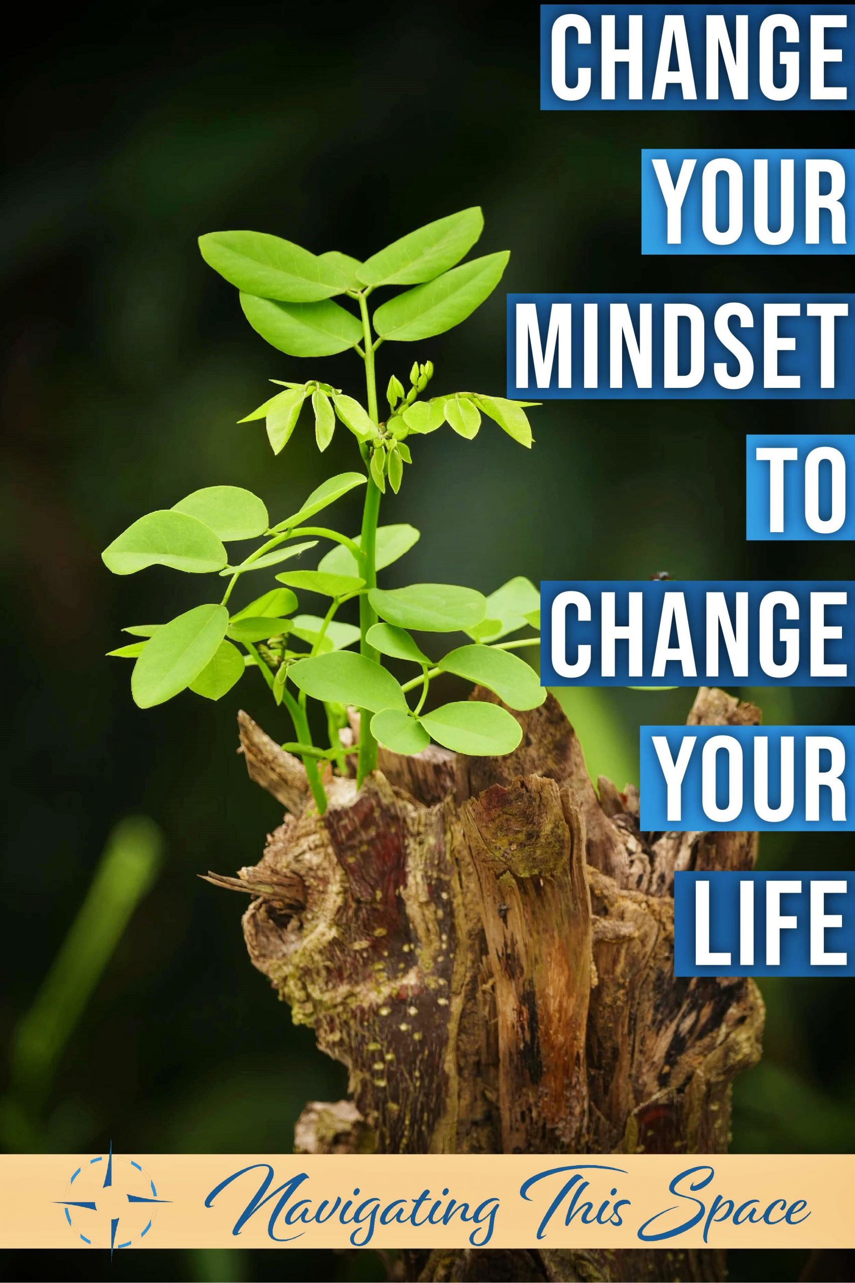 How To Change Your Mindset So You Can Change Your Life - Navigating ...