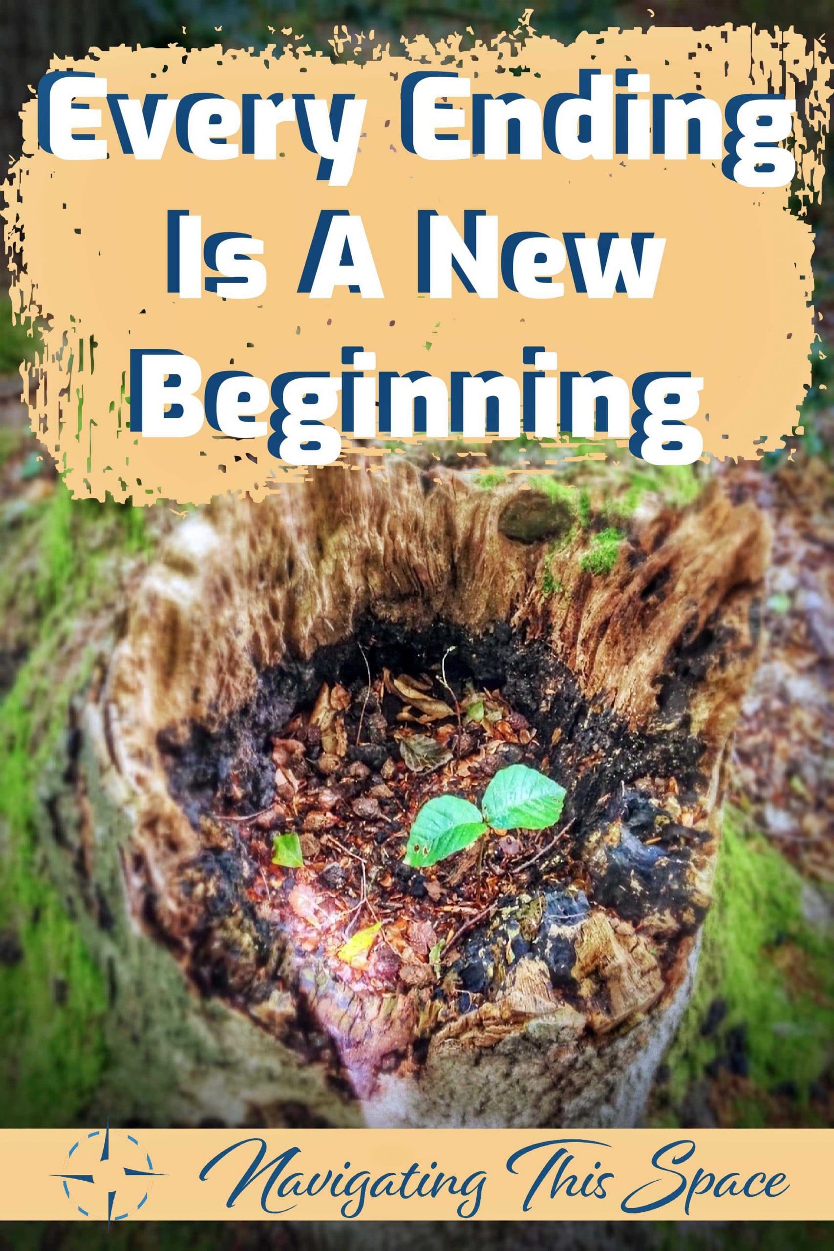 Every Ending Is A New Beginning - Navigating This Space