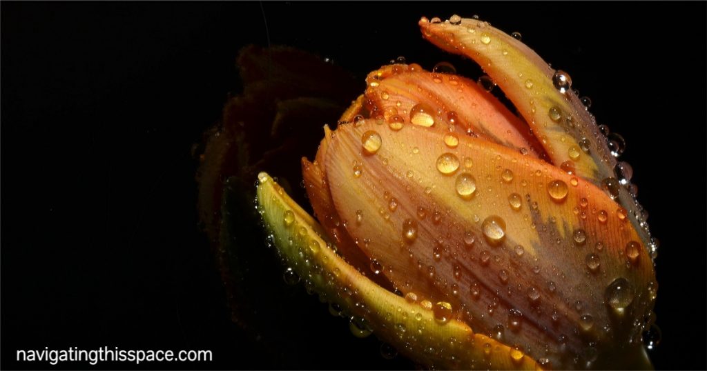 Struggles of Life and Hardships: How They Lead to Success - Navigating ...