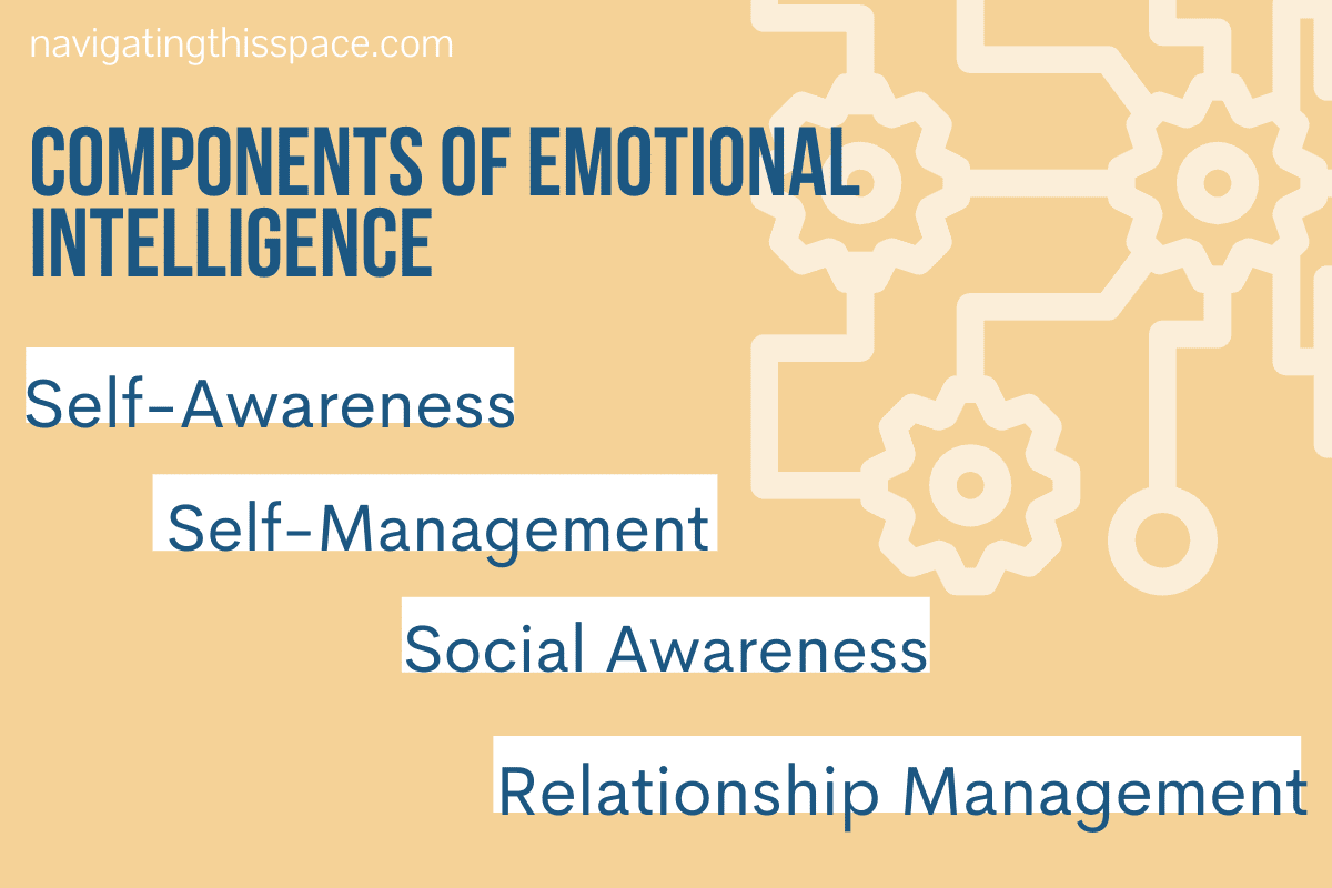 A Beginner's Guide To Emotional Intelligence - Navigating This Space