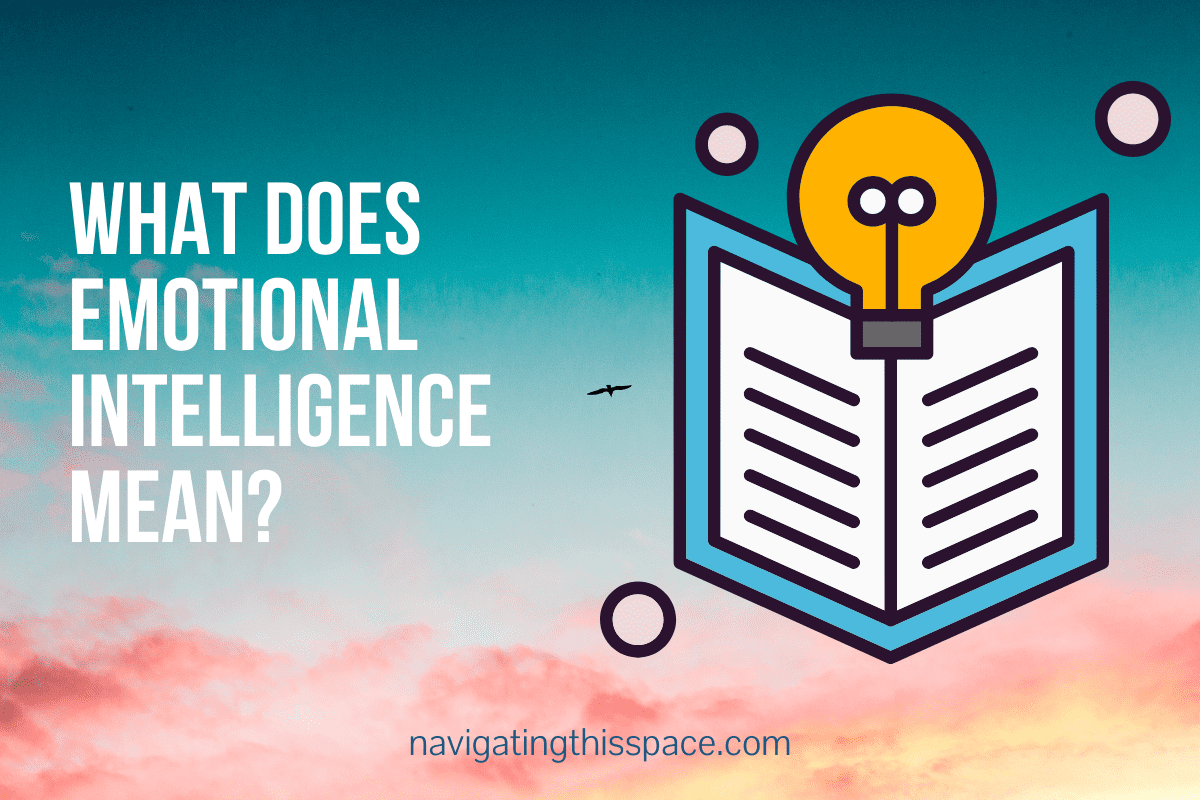A Beginner's Guide To Emotional Intelligence - Navigating This Space