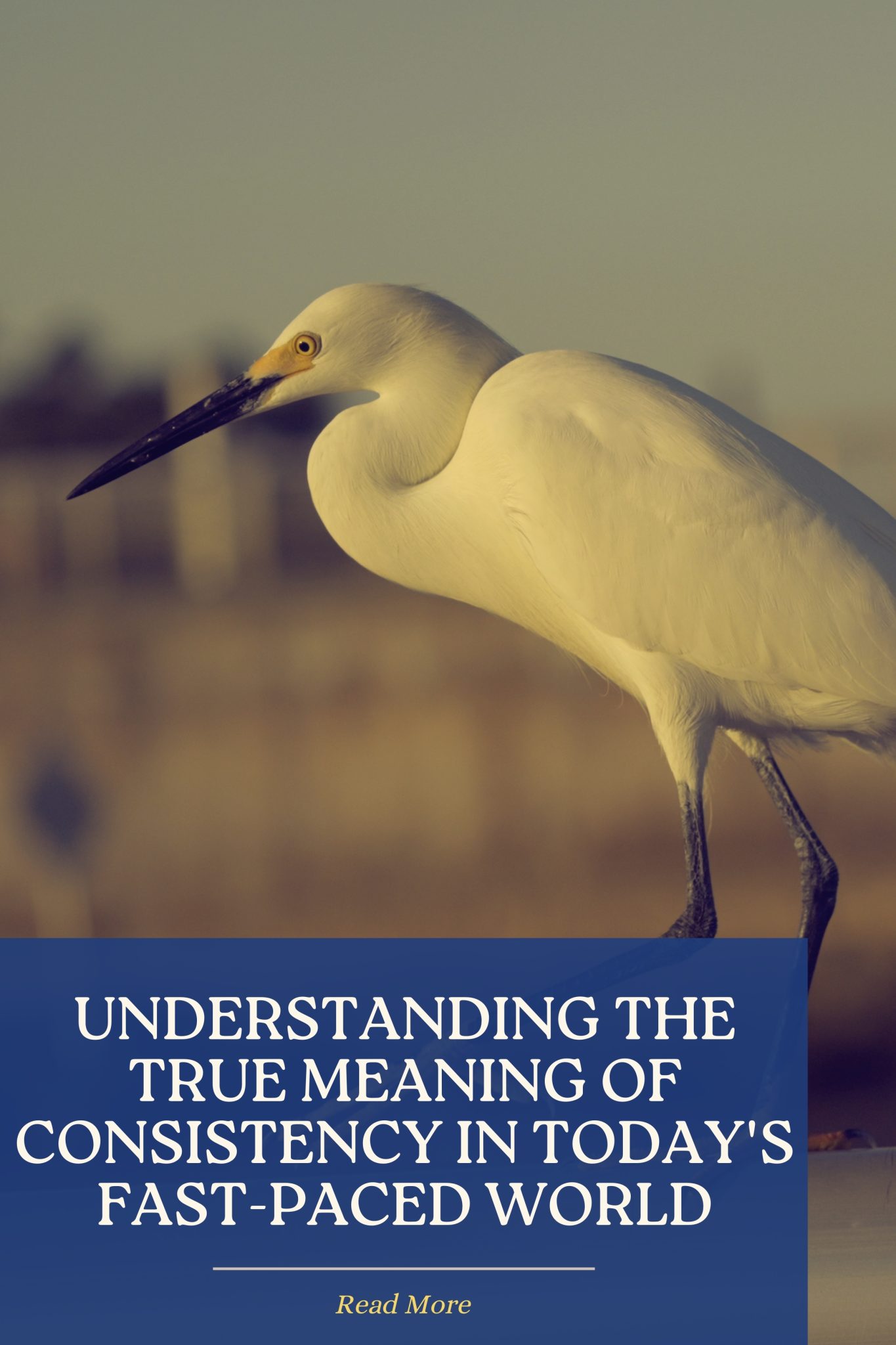 Understanding the True Meaning of Consistency in Today's Fast-Paced ...