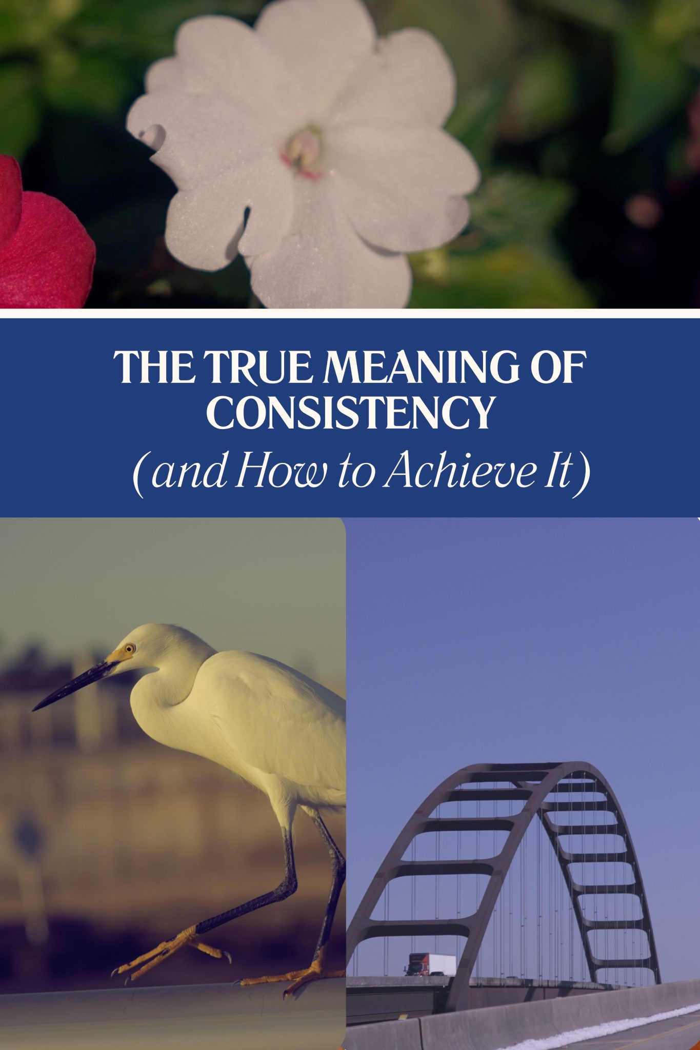 Understanding the True Meaning of Consistency in Today's Fast-Paced ...